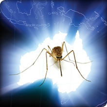 Infectious diseases in Australia — the next decade | The Medical ...