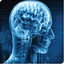 Neuroplasticity and pain: what does it all mean? | The Medical Journal ...