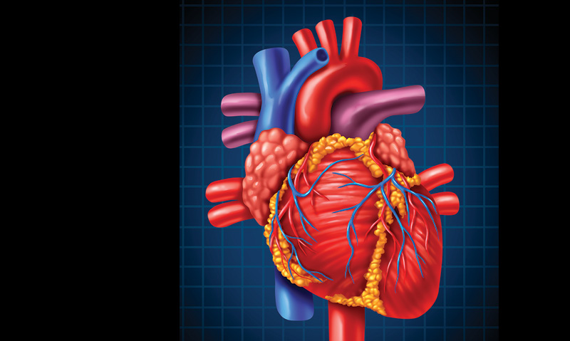 Preoperative cardiac evaluation and management of patients undergoing ...