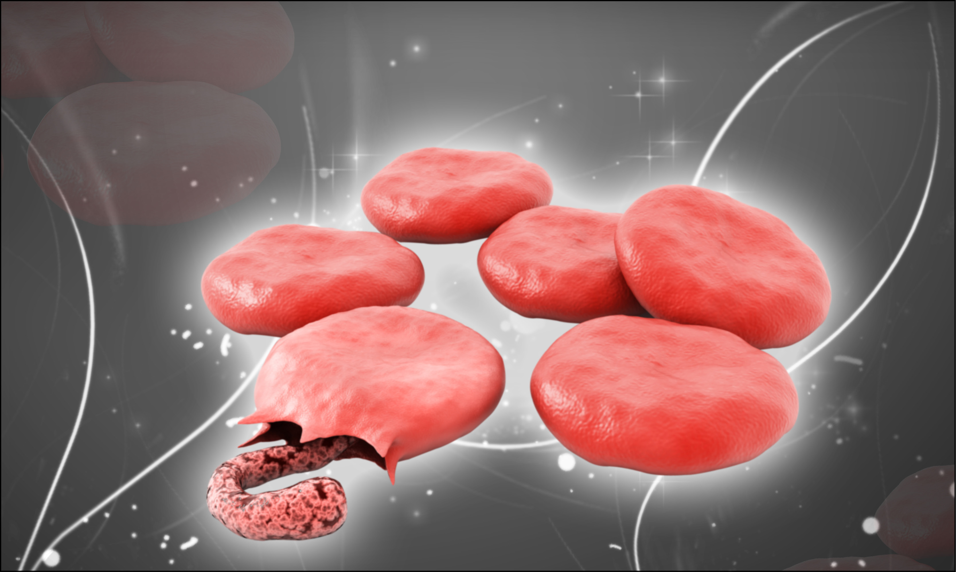 Missing malaria? Potential obstacles to diagnosis and hypnozoite ...