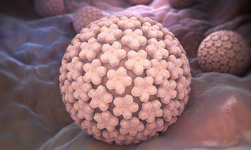 HPV vaccine impact in Australian women: ready for an HPV-based ...