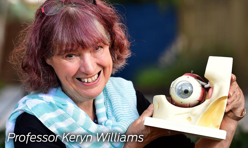 Nation’s top honour for cornea researcher | The Medical Journal of ...