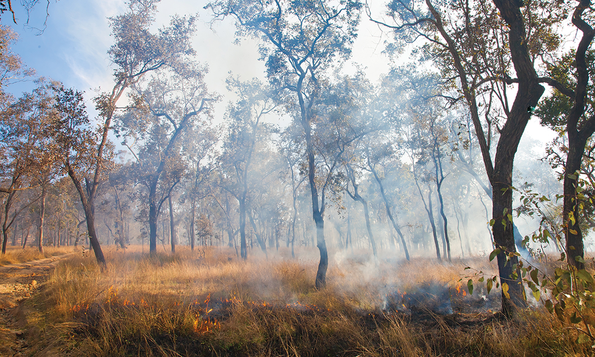Caring for country and the health of Aboriginal and Torres Strait ...