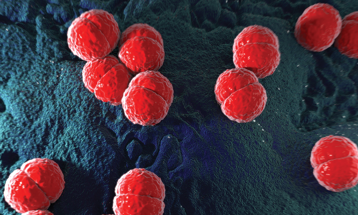 Trends in meningococcal disease: challenges for vaccine control when ...