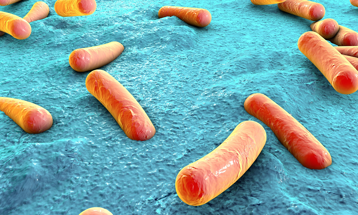 Skin infections in Australian Aboriginal children: a narrative review ...