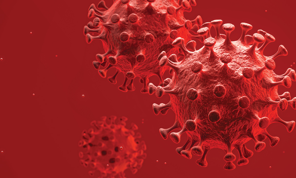 The year of the ‘rona: an uncontrolled trial in verse | The Medical ...