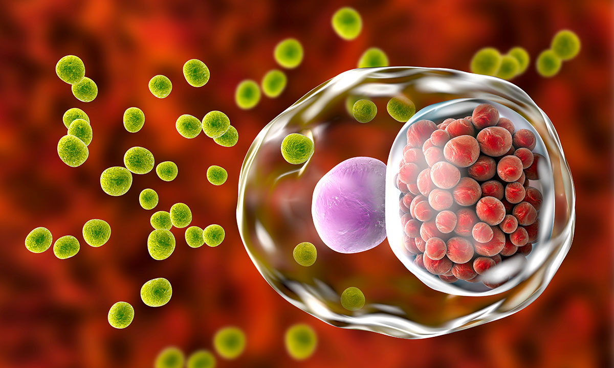 Chlamydia prevention and management in Australia: reducing the burden ...