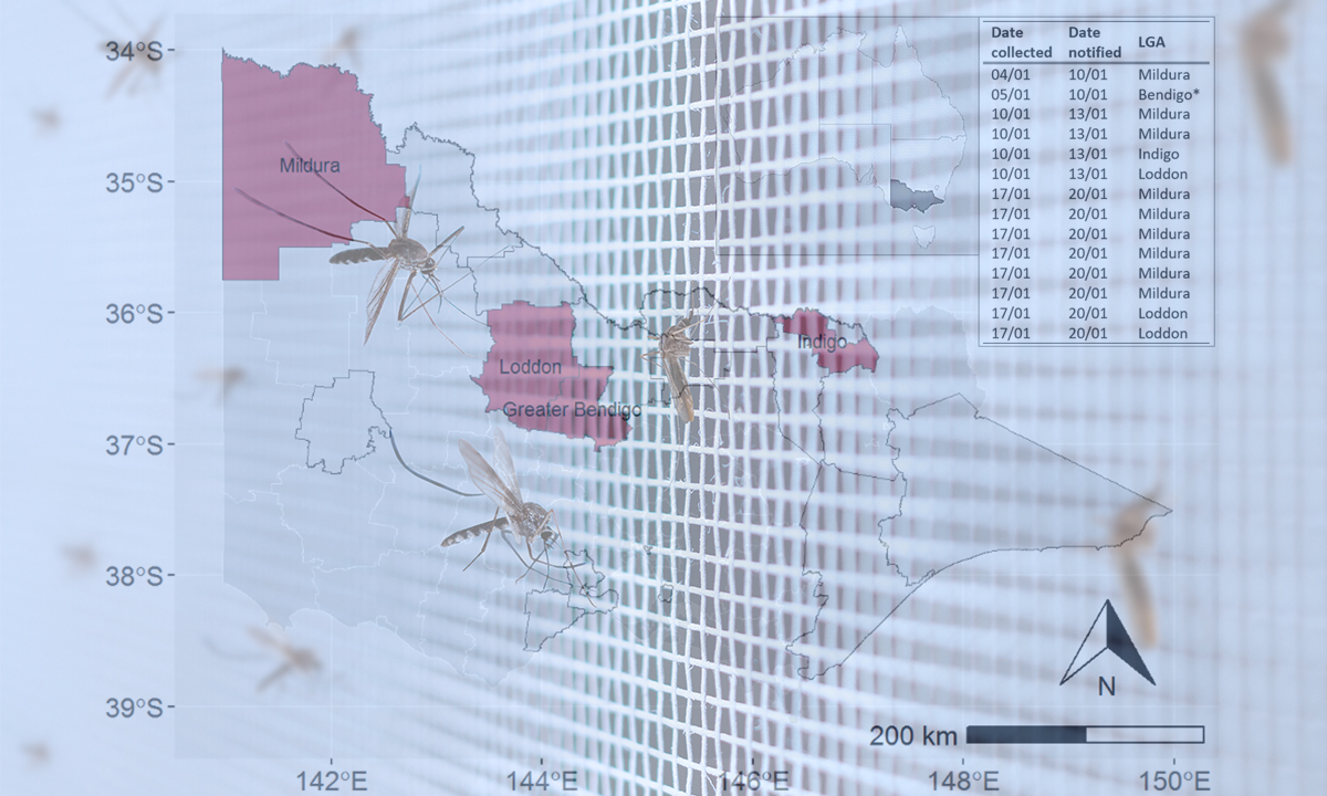 Early detection of Murray Valley encephalitis virus activity in ...