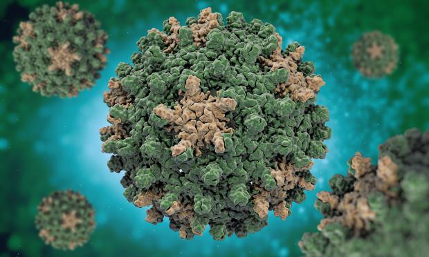 MJA Podcasts 2021 Episode 22: Hepatitis B screening for all Australian ...