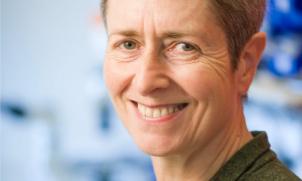 Podcasts | The Medical Journal of Australia